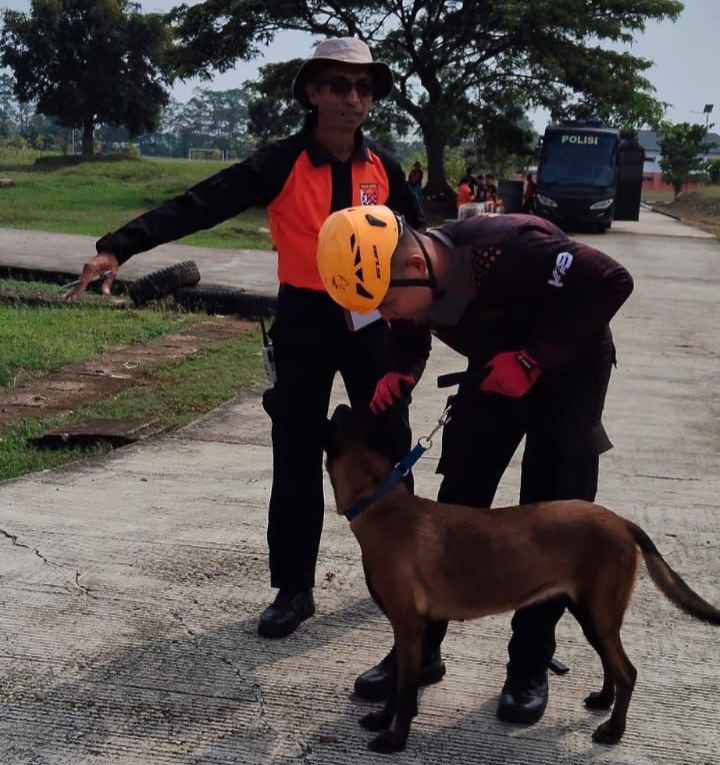 K9 Baharkam Polri Unjuk Gigi di Jonggol: Simulasi USAR Latih ...